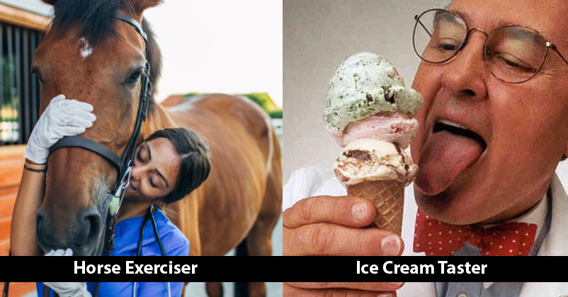 6 Weird Jobs Can Help You Earn Surprisingly Well - Marketing Mind